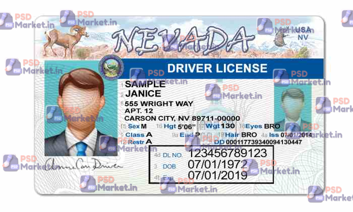 Nevada Drivers License PSD Template V1 - Globalpsdtemplate