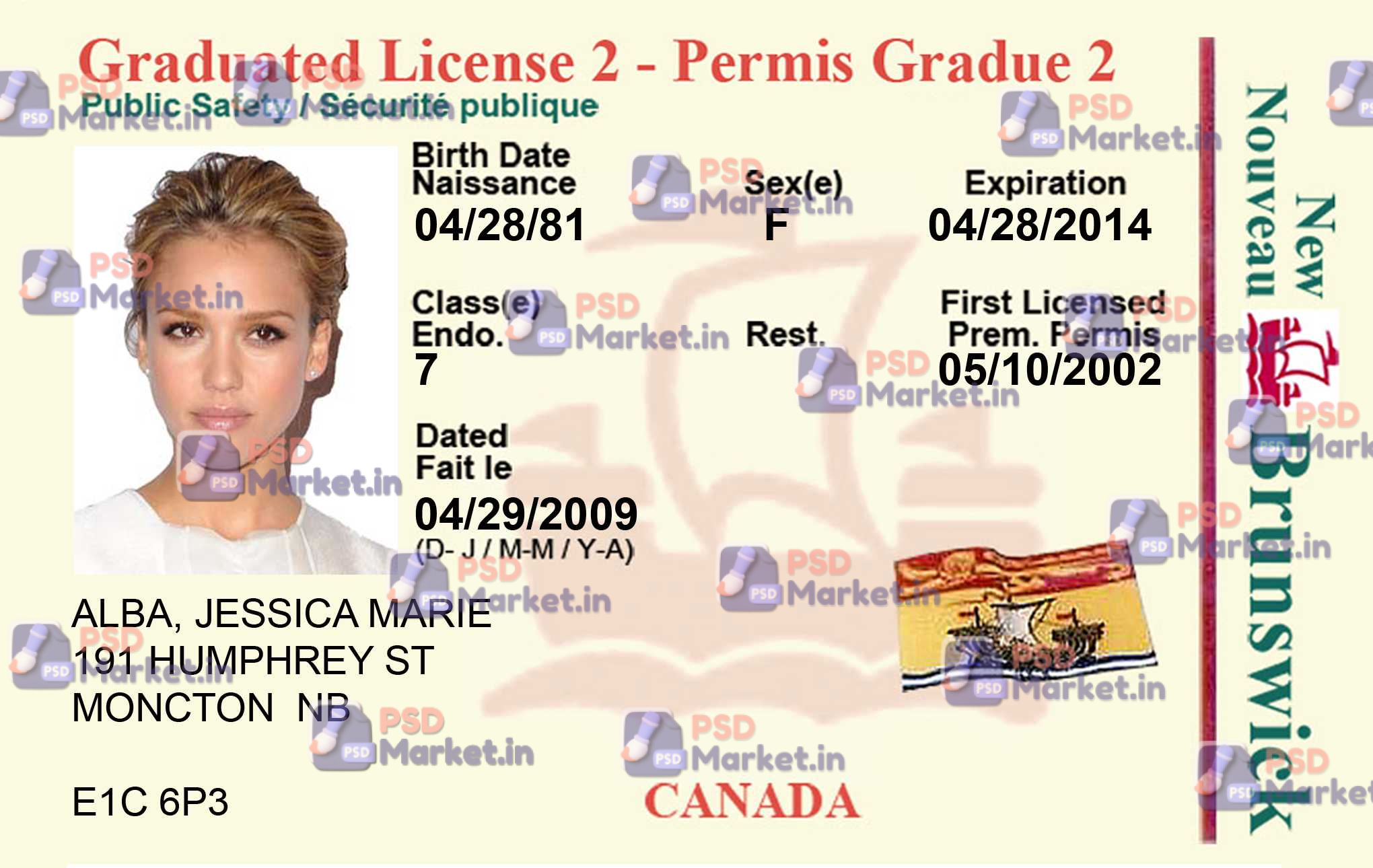 Canada Ontario Drivers License Template - Globalpsdtemplate