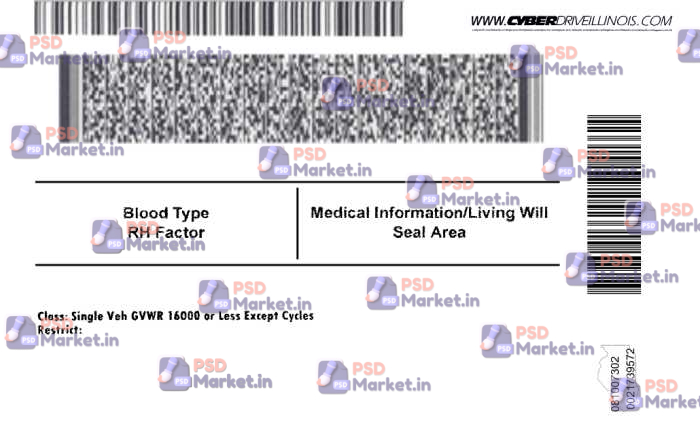 Illinois Drivers License PSD Template V1 - Globalpsdtemplate