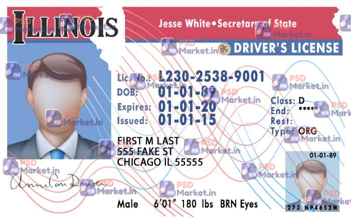 Illinois Drivers License PSD Template V1 - Globalpsdtemplate
