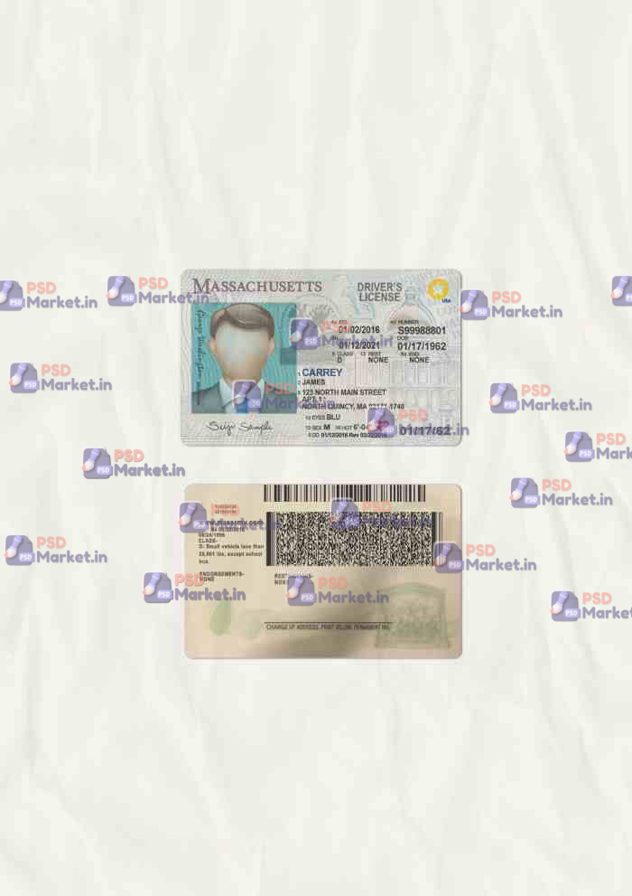 Massachusetts Drivers License PSD Template (scan) V2 - Globalpsdtemplate
