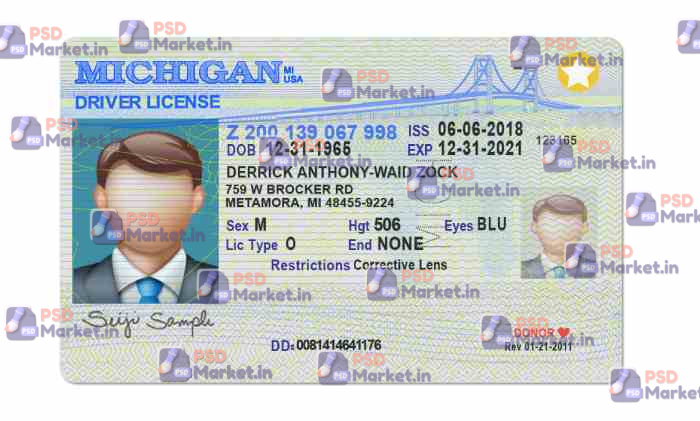 Michigan Drivers License PSD Template (Front & Back) - Globalpsdtemplate