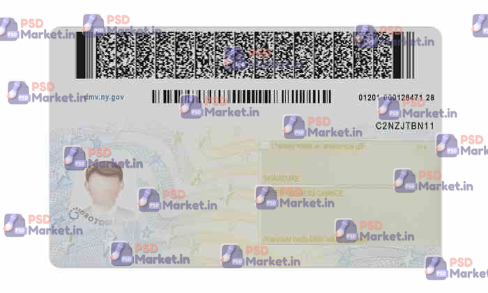 New York Drivers License PSD Template (Front & Back) V2 - Globalpsdtemplate